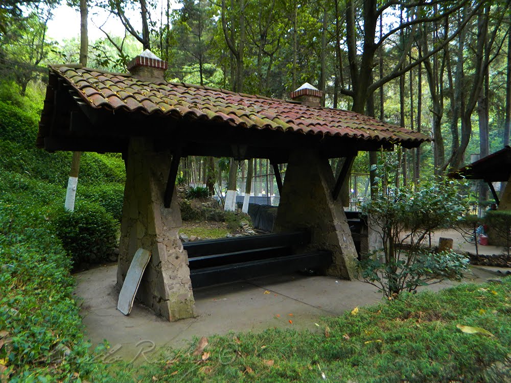 Como llegar a Temascalcingo, Estado de México