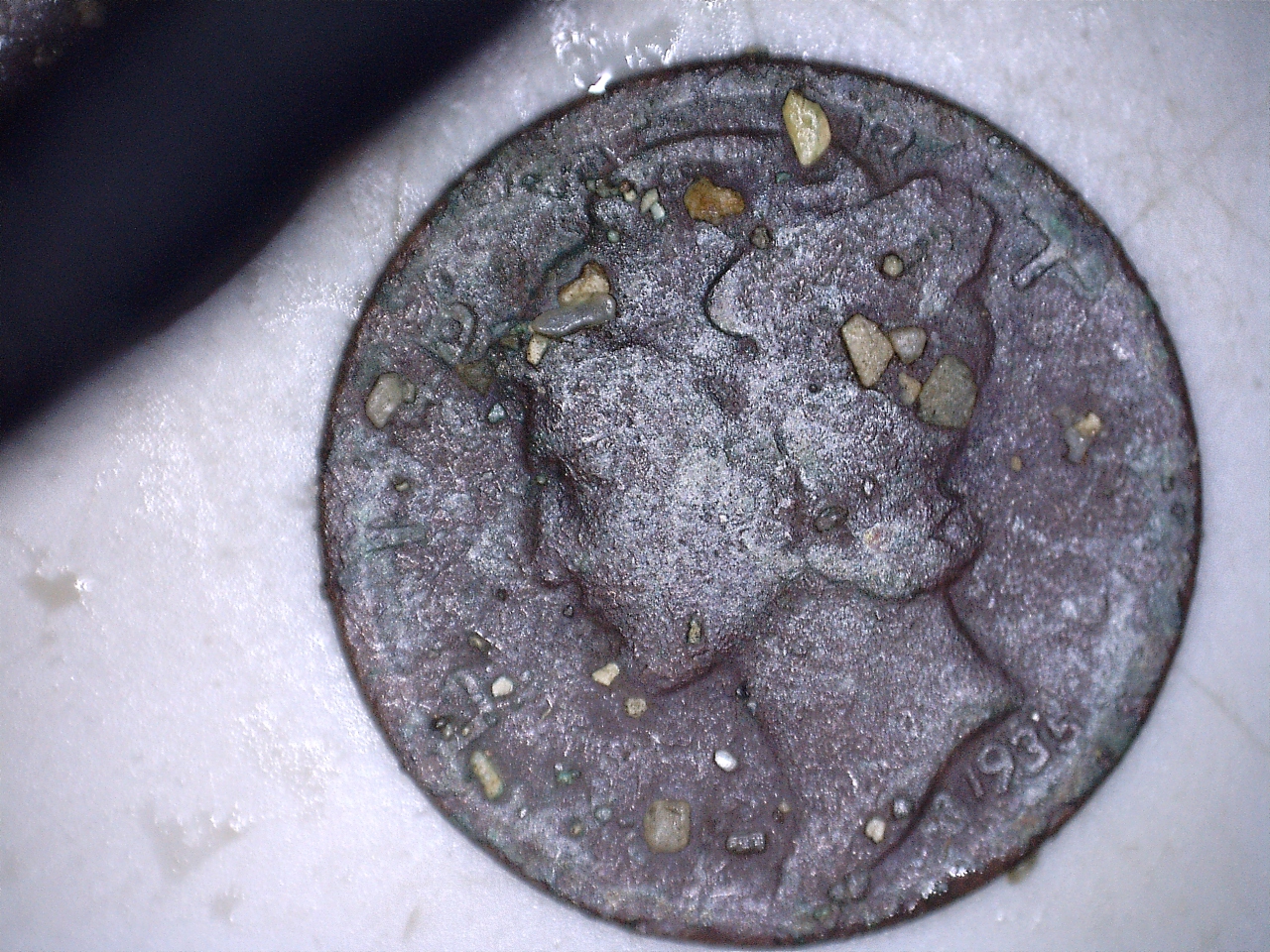 The Treasure Beaches Report Direct From Florida's Treasure Coast.: 7/6 ...