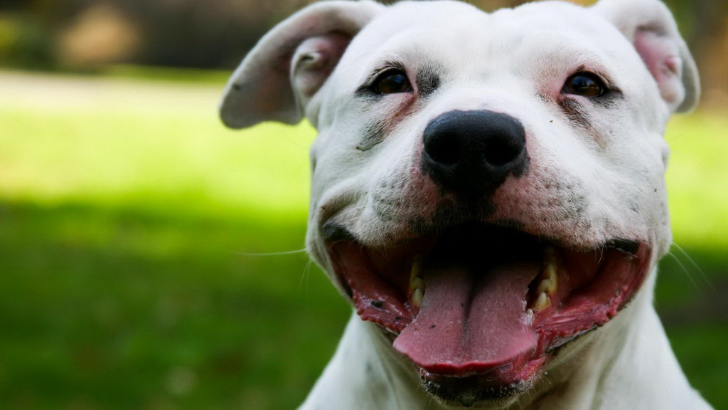 Wallpapers Bucket Blog - High Quality Pictures, Images, Photos And ...