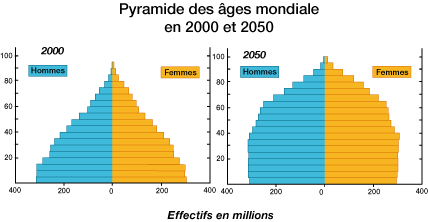 St André classe de CM2: pyramide des ages