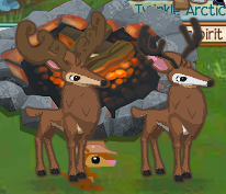 Animal Jam Community Blog: Deer Antlers