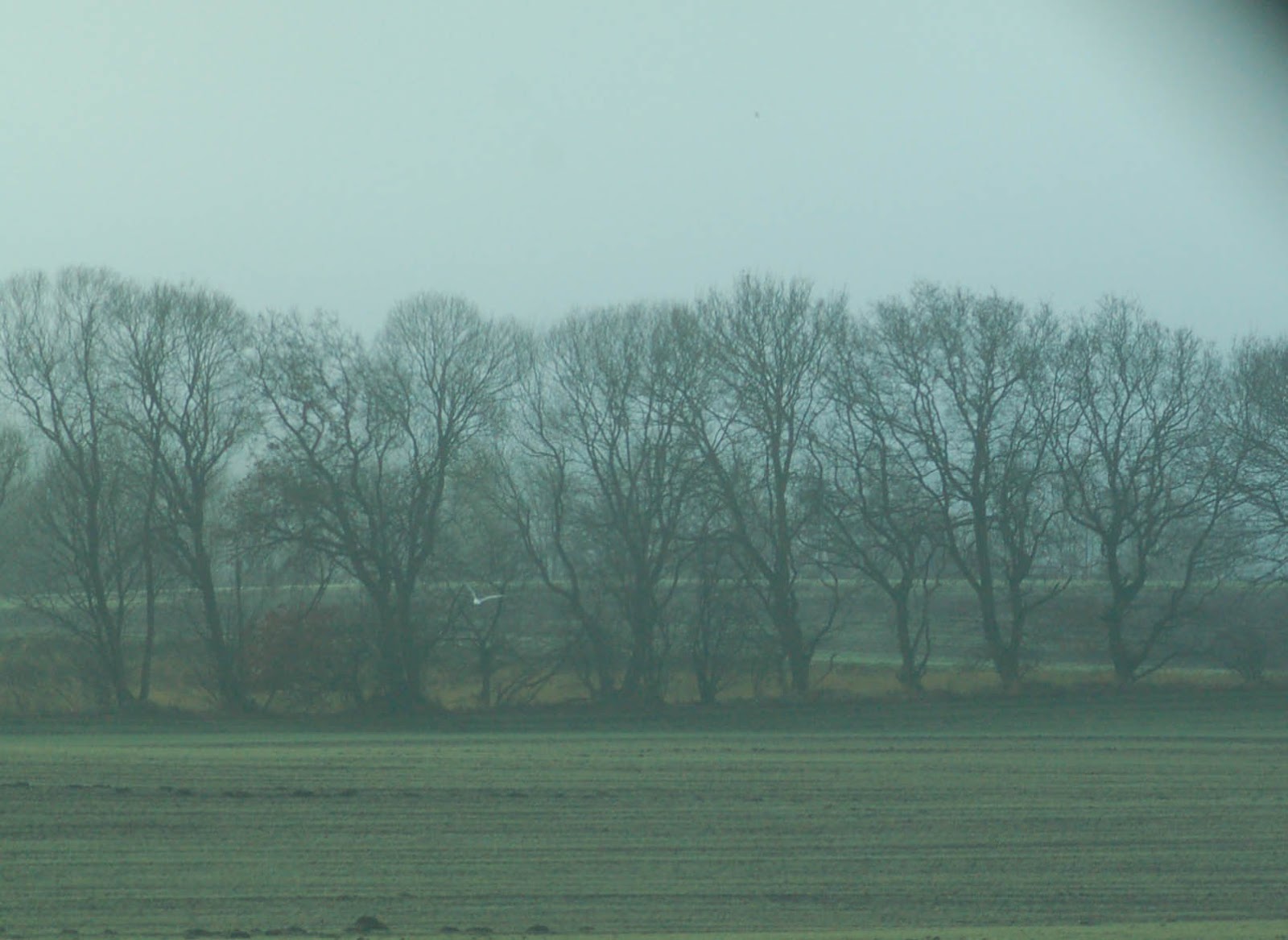 Thyra: The Days are short when you reach November.......