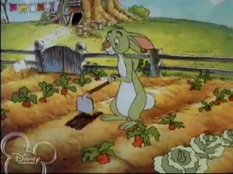 The New Adventures of Winnie The Pooh: Fast Friends Part 2