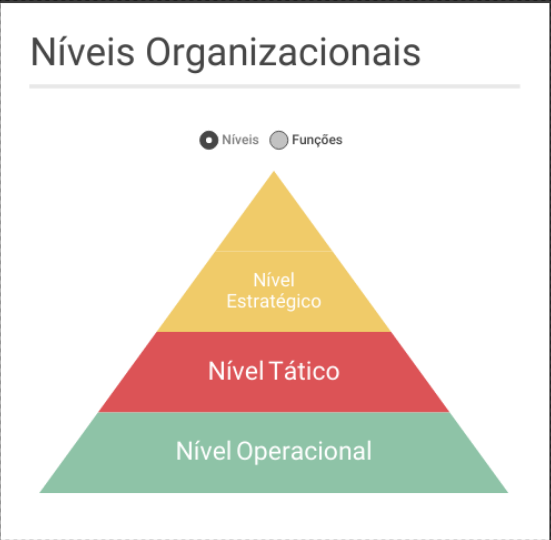 Infográfico#1 (níveis organizacionais)