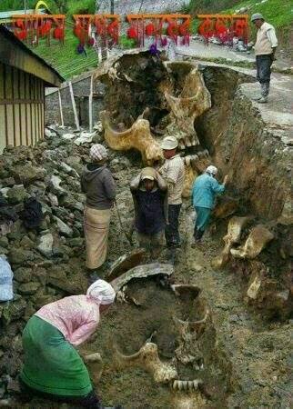 Oh My GOD - World's Biggest Human Skeletons Ever Found