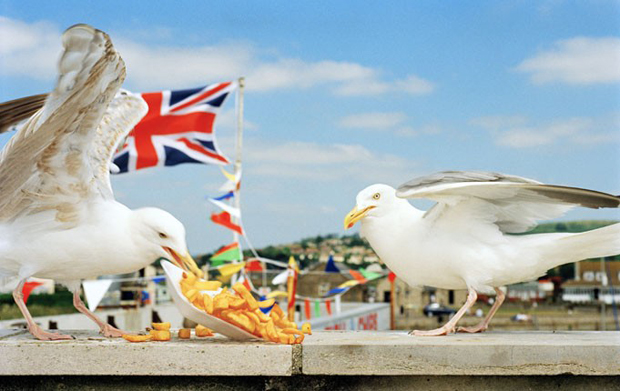 YOUNG PHOTOGRAPHER OF THE YEAR : Martin Parr
