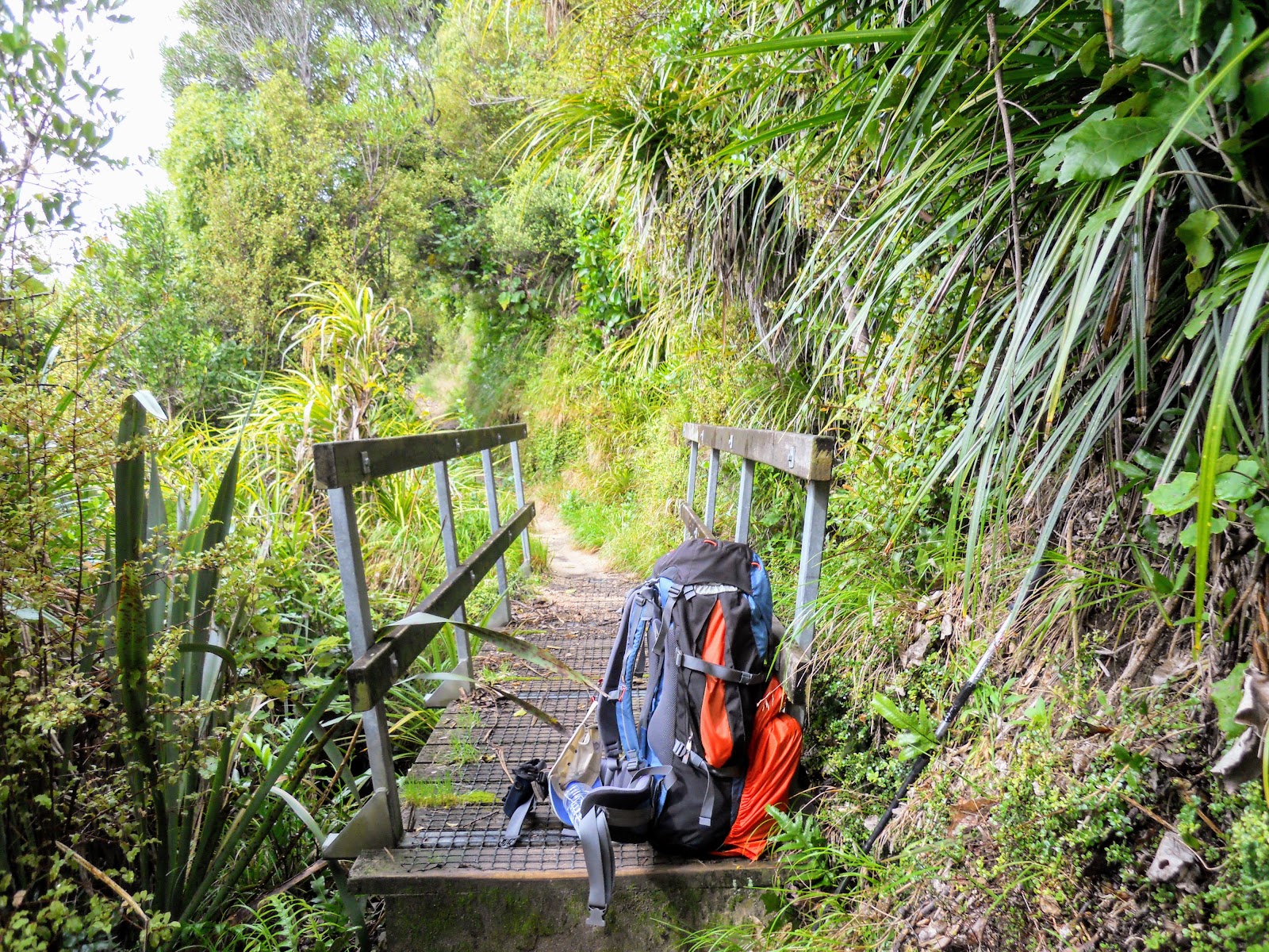 Tramping in the New Zealand backcountry: NZ Bush Adventures: My ...
