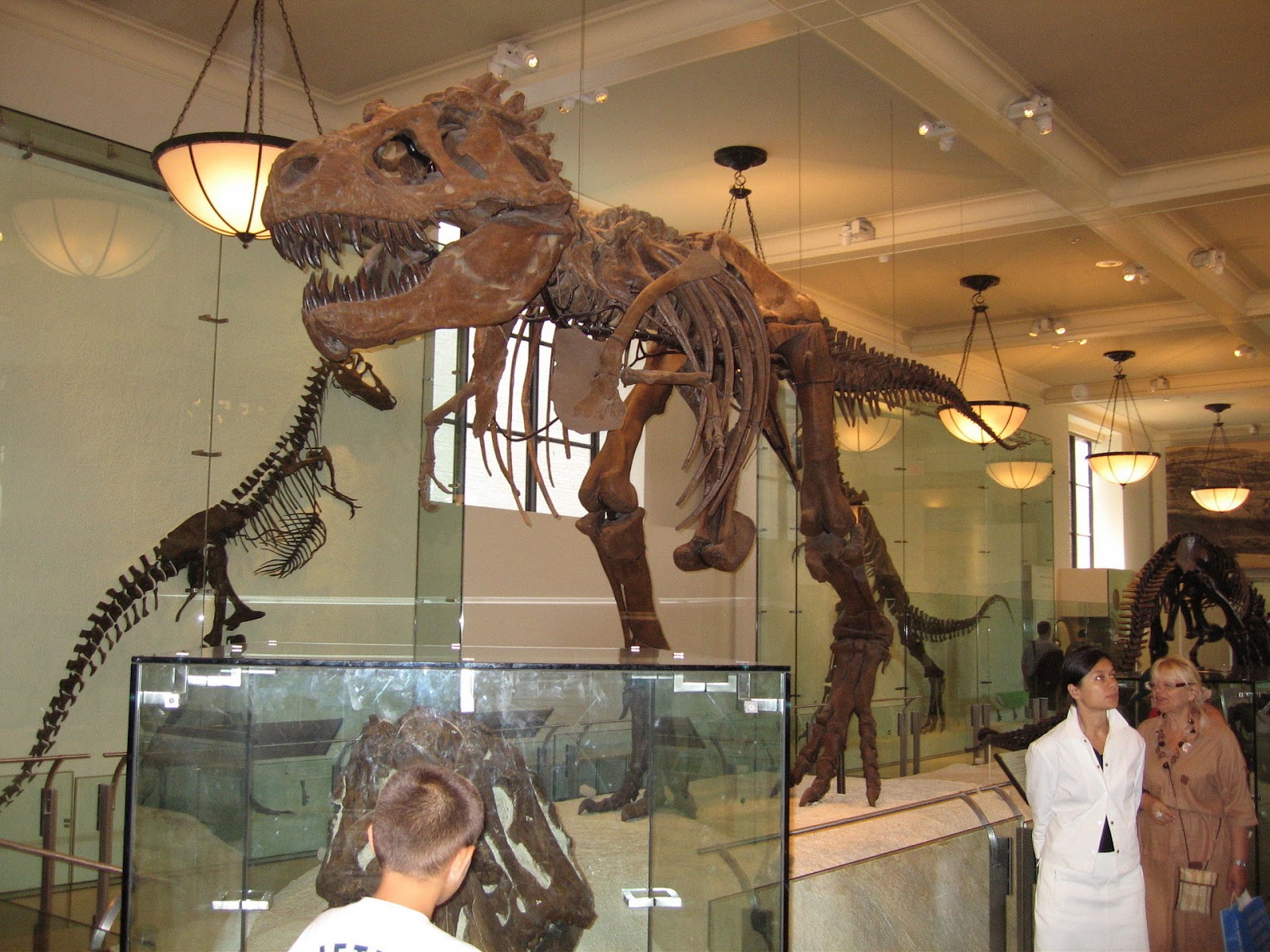 BEST Science & Natural History Museums & Planetariums, U.S.