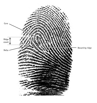 Final Year Projects: FINGERPRINT BASED PROJECT TOPICS FOR ECE STUDENTS