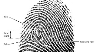 Final Year Projects: FINGERPRINT BASED PROJECT TOPICS FOR ECE STUDENTS