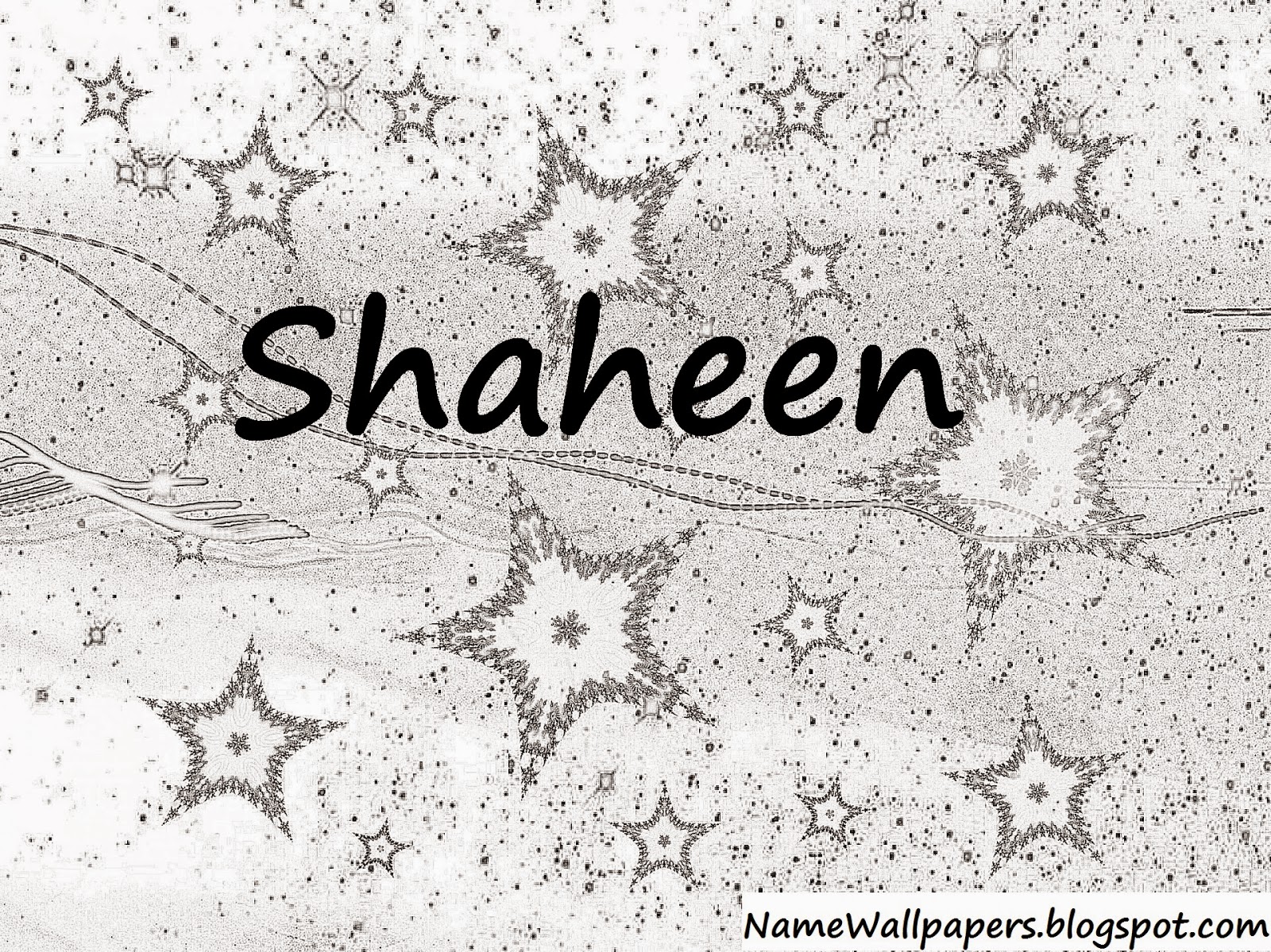 Shaheen Name Wallpapers Shaheen ~ Name Wallpaper Urdu Name Meaning Name ...
