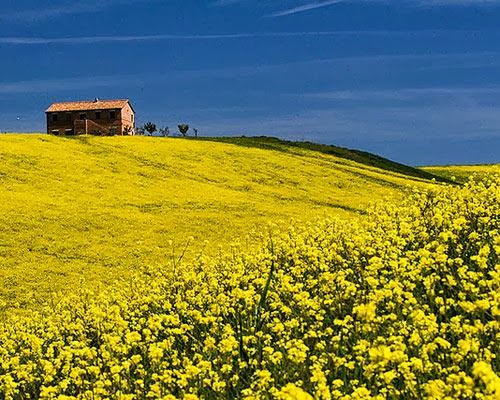 9 of the most beautiful places in the spring - OI DET