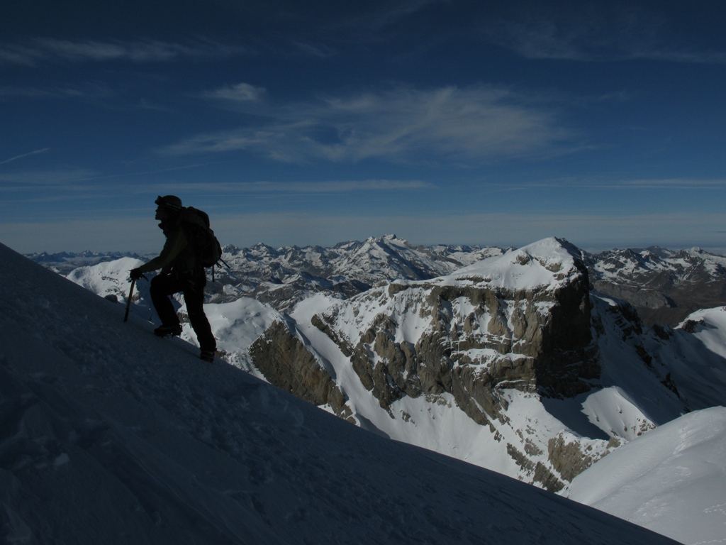 ¿Y ahora, qué?, ¡Mamué!