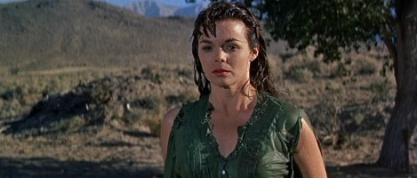 Comanche Station (1960)