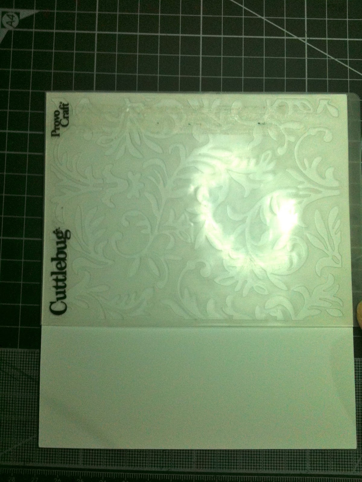 Sarah's Craft: How to emboss a strip using a Cuttlebug