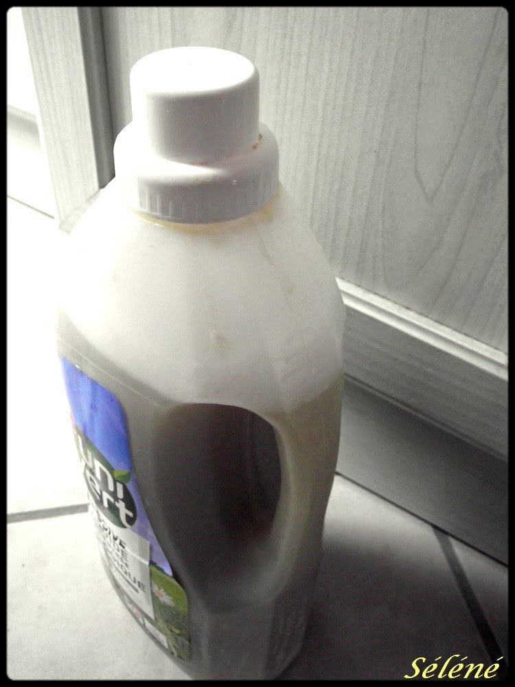 La mare à bouts de ficelles: Lessive maison