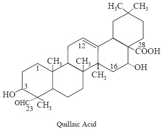Quillaja-Quillaja saponaria Molina belonging to family Rosaceae.