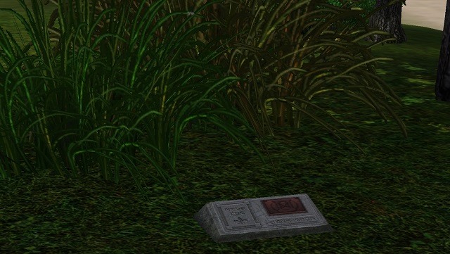 Looking For Love in All the Strangest Places