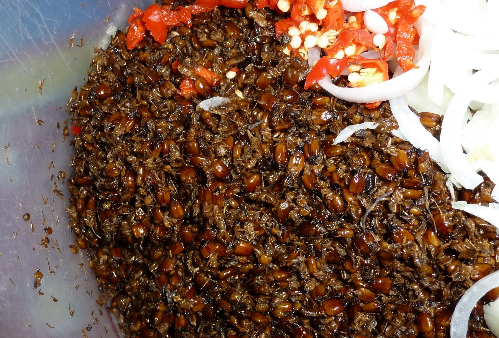 louiseinsenegal: Further into the heart of darkness