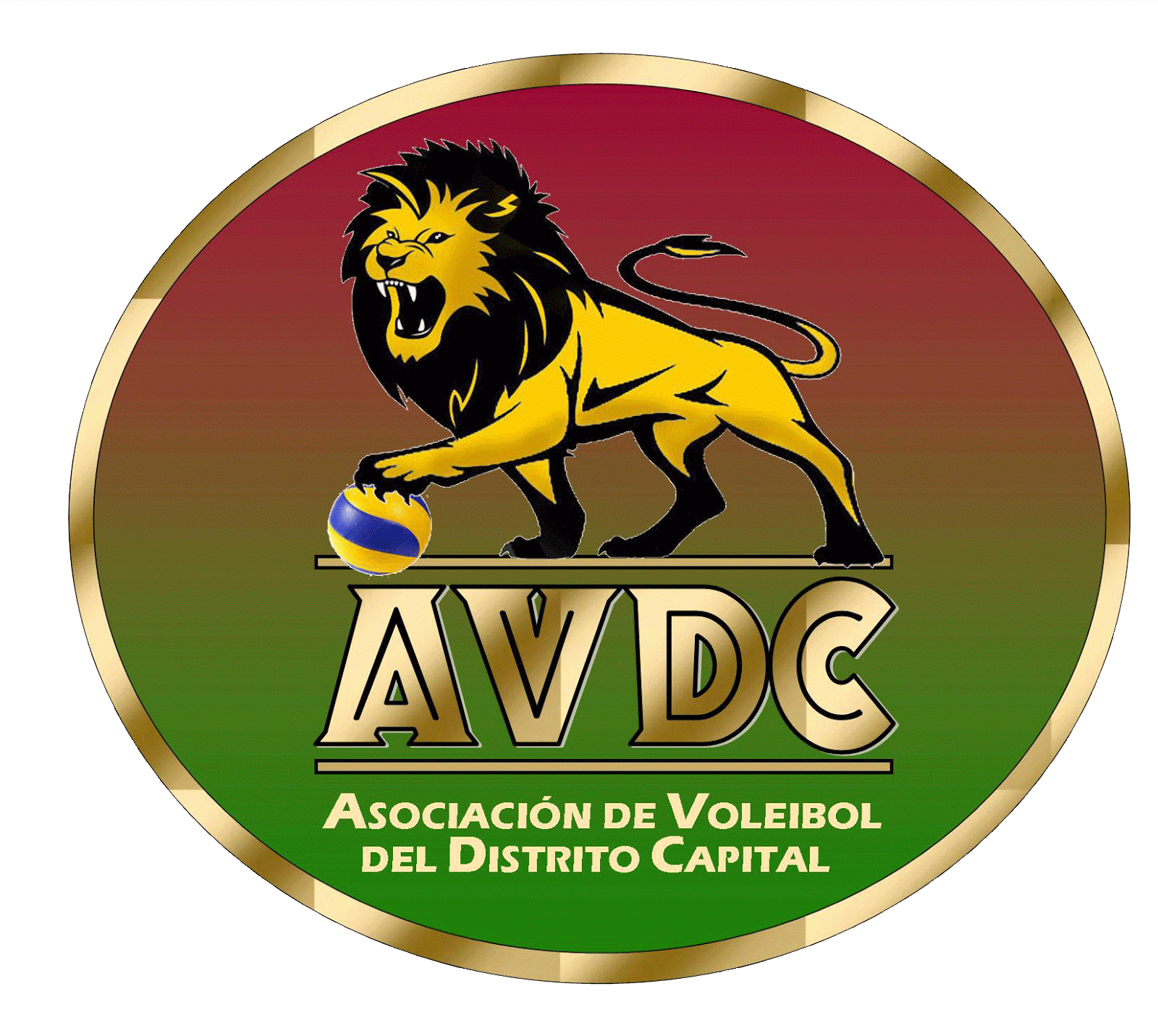 Asociación de Voleibol del DC: Inicio