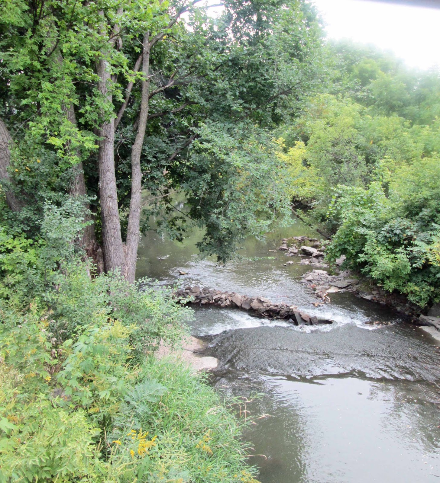 Adventures Here and There: Walking in Rochester