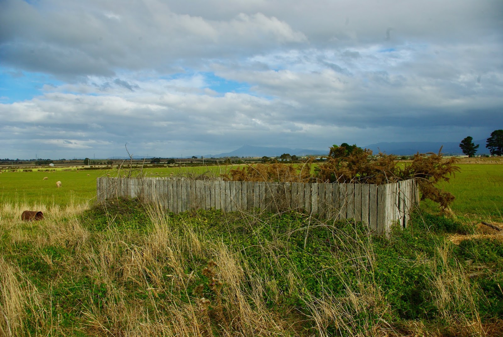 No. 392 - Butleigh Hill Methodist Church at Cressy