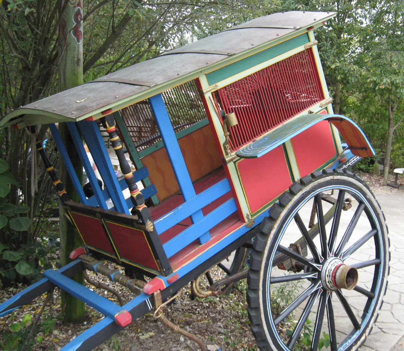 joy for grace: Fun Photos - Really Random Thursday