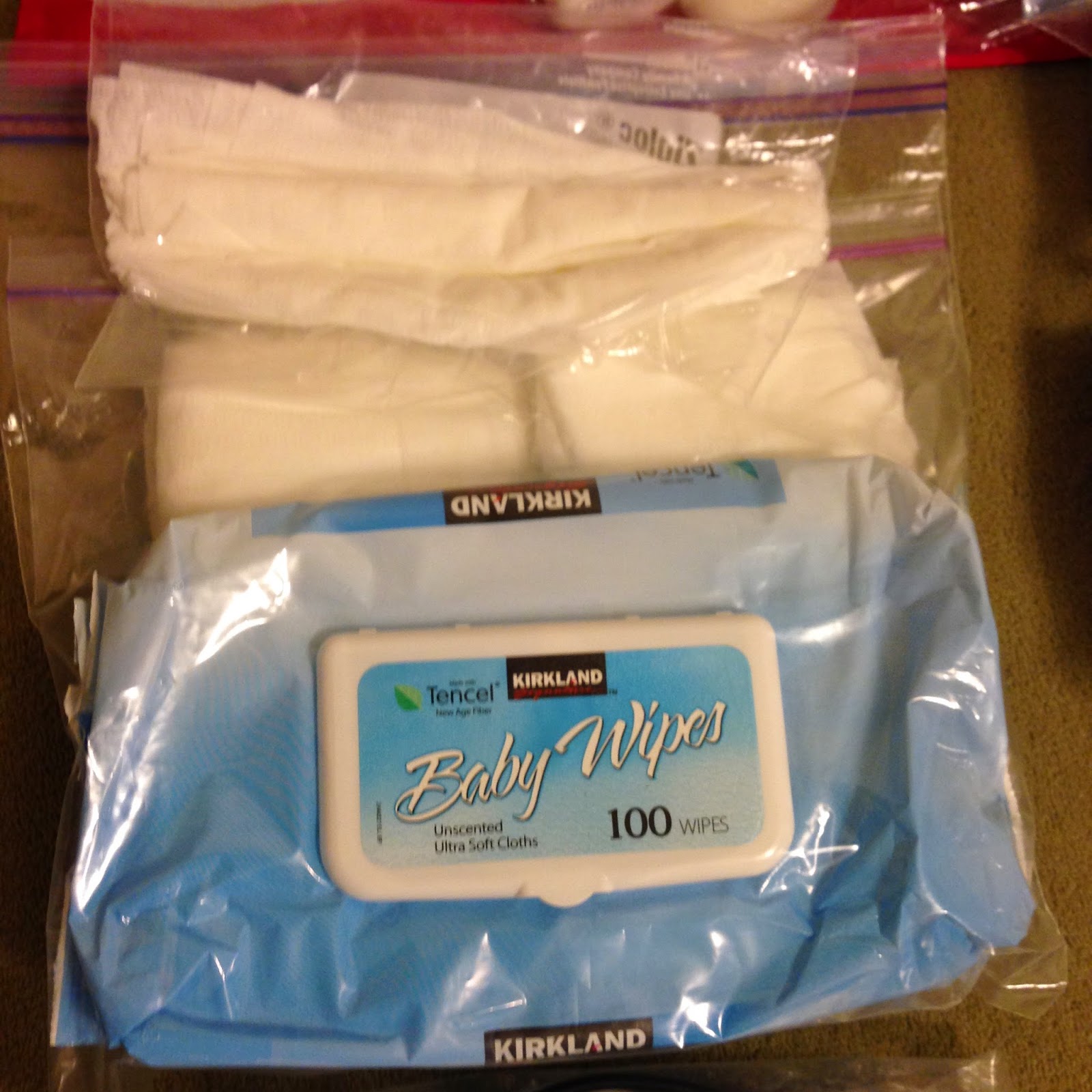Art's AIDS/LifeCycle Journey: Art's ALC Packing List
