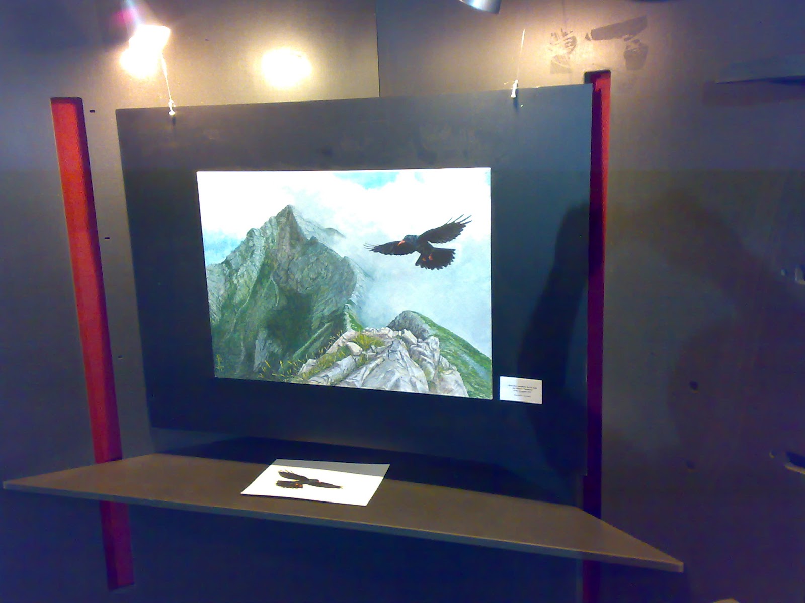 Alessandro Sacchetti - Wildlife Painter: La tappa della mostra "in ...