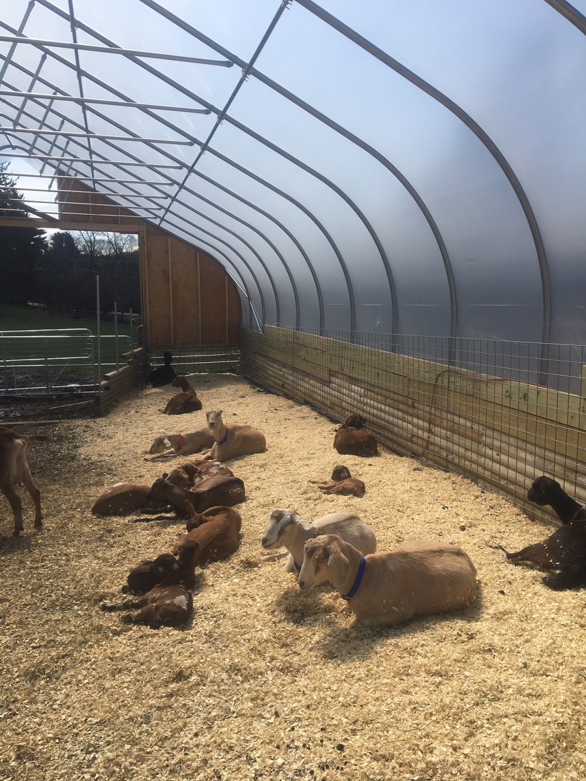 Chestnut Hill Farm: May 2018