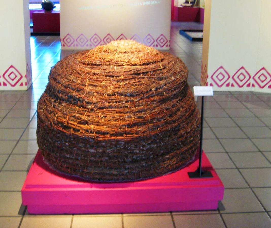 Los Kumiai | Historia Cultural