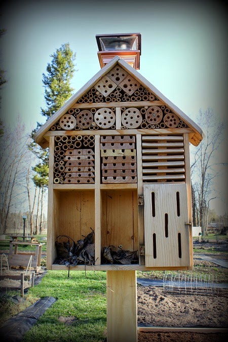 What is a Garden Bug House? How it Helps Your Garden Thrive?