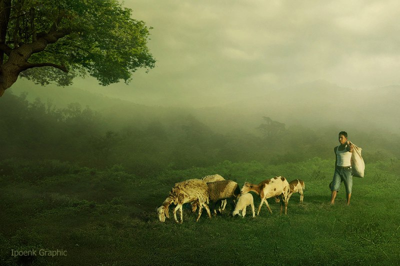 vicious Lamb: One more photo