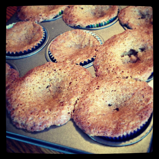 Carrot Muffin Fail - Bakin' Care Of Business