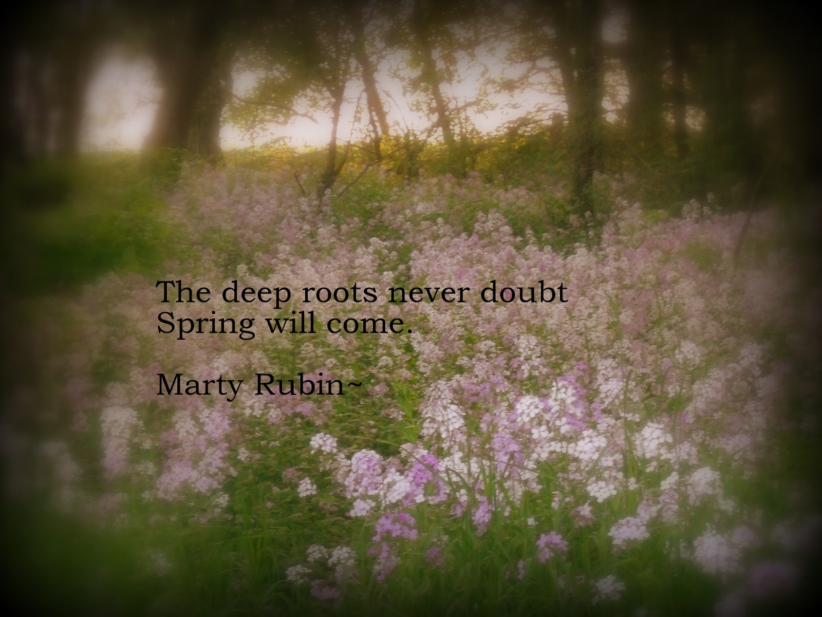 Another Porch ...A Poetry Blog: Dreaming of Spring