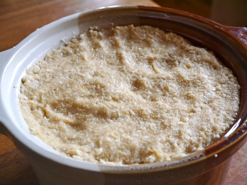 shokuiku: make your own miso traditional and chickpea miso experiment