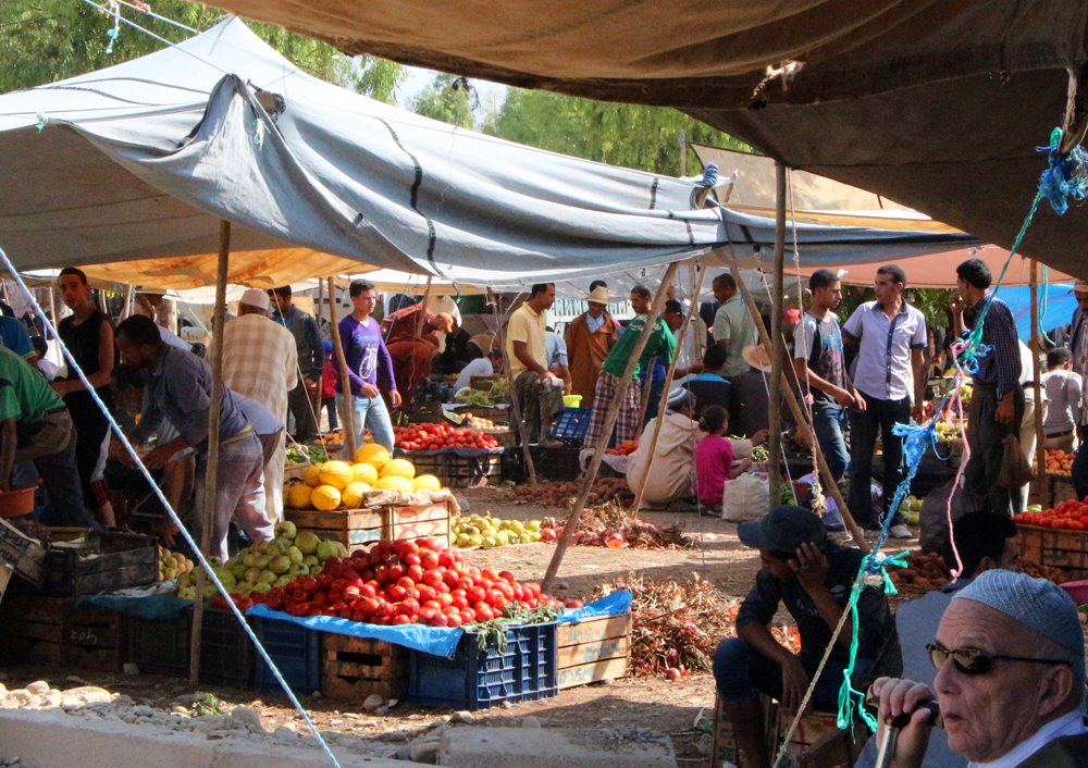 THE VIEW FROM FEZ: Hamria "Thursday" Souk - A Trip to the Country