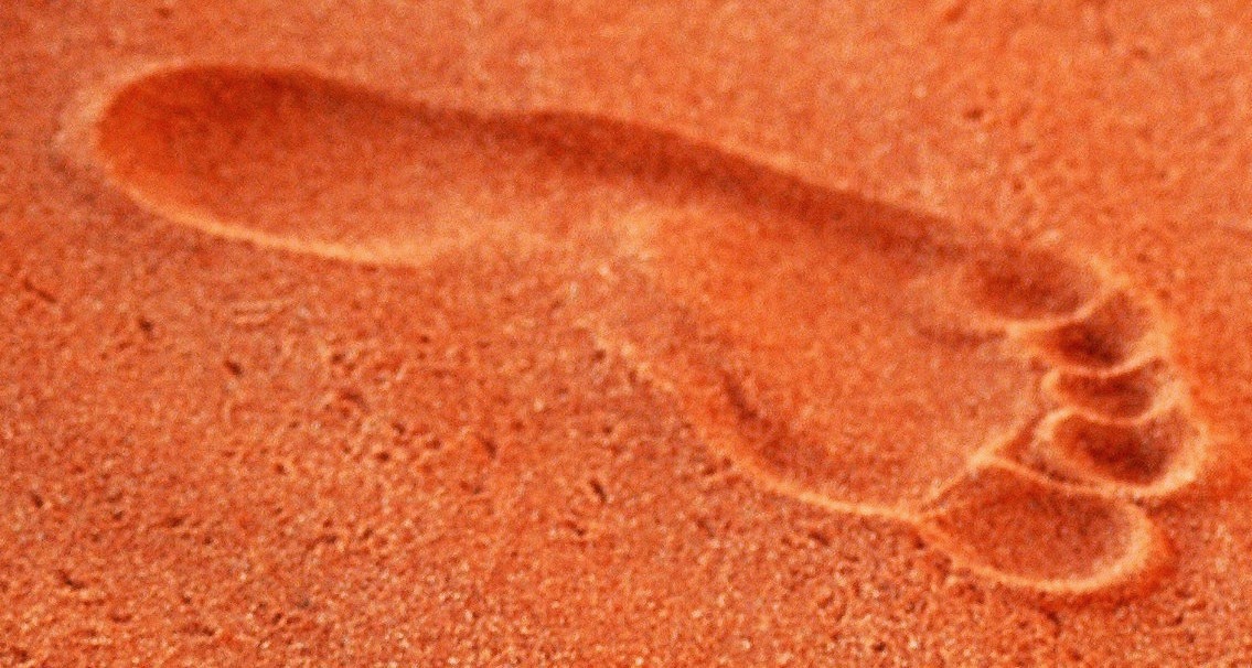 Die Woestynkinders: Die Namib Woestyn