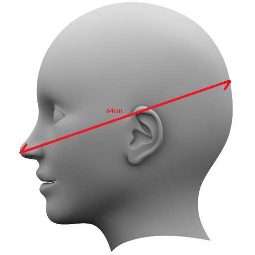 Human Head Measurements human-head-measurements