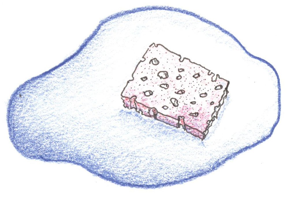 Architorture: So What IS this thing???