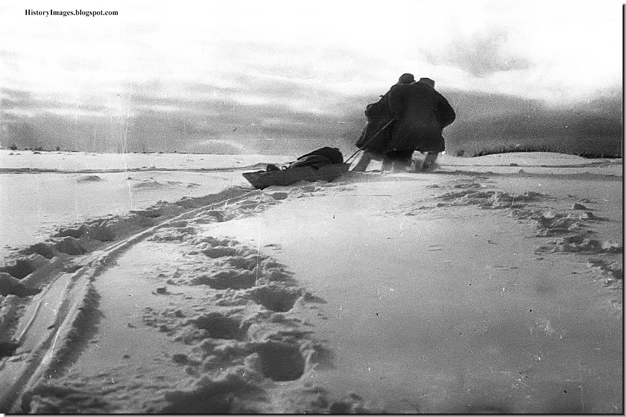 HISTORY IN IMAGES: Pictures Of War, History , WW2: The Decimation Of ...