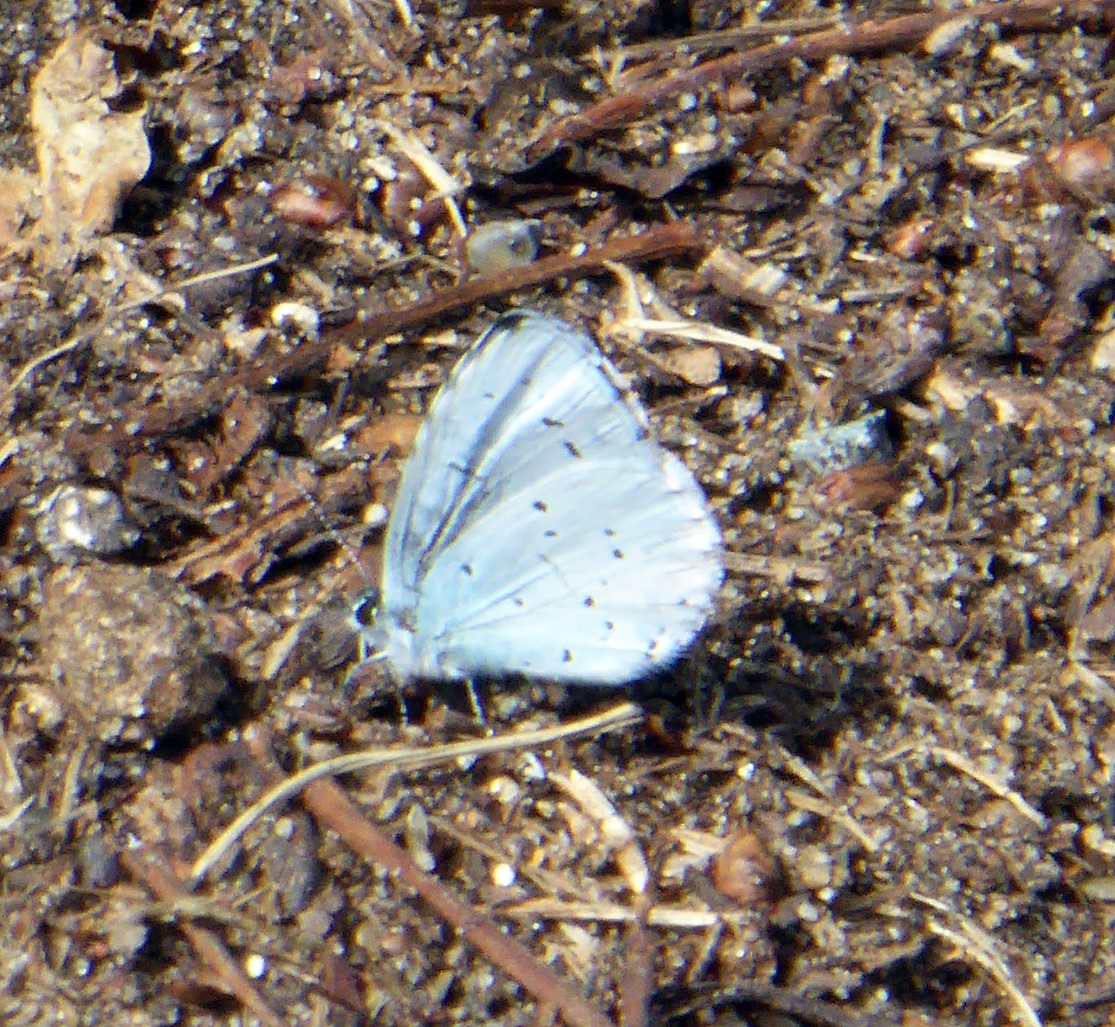 Wild and Wonderful: Lound Lakes, Southwold Beach and A Pair of Late ...