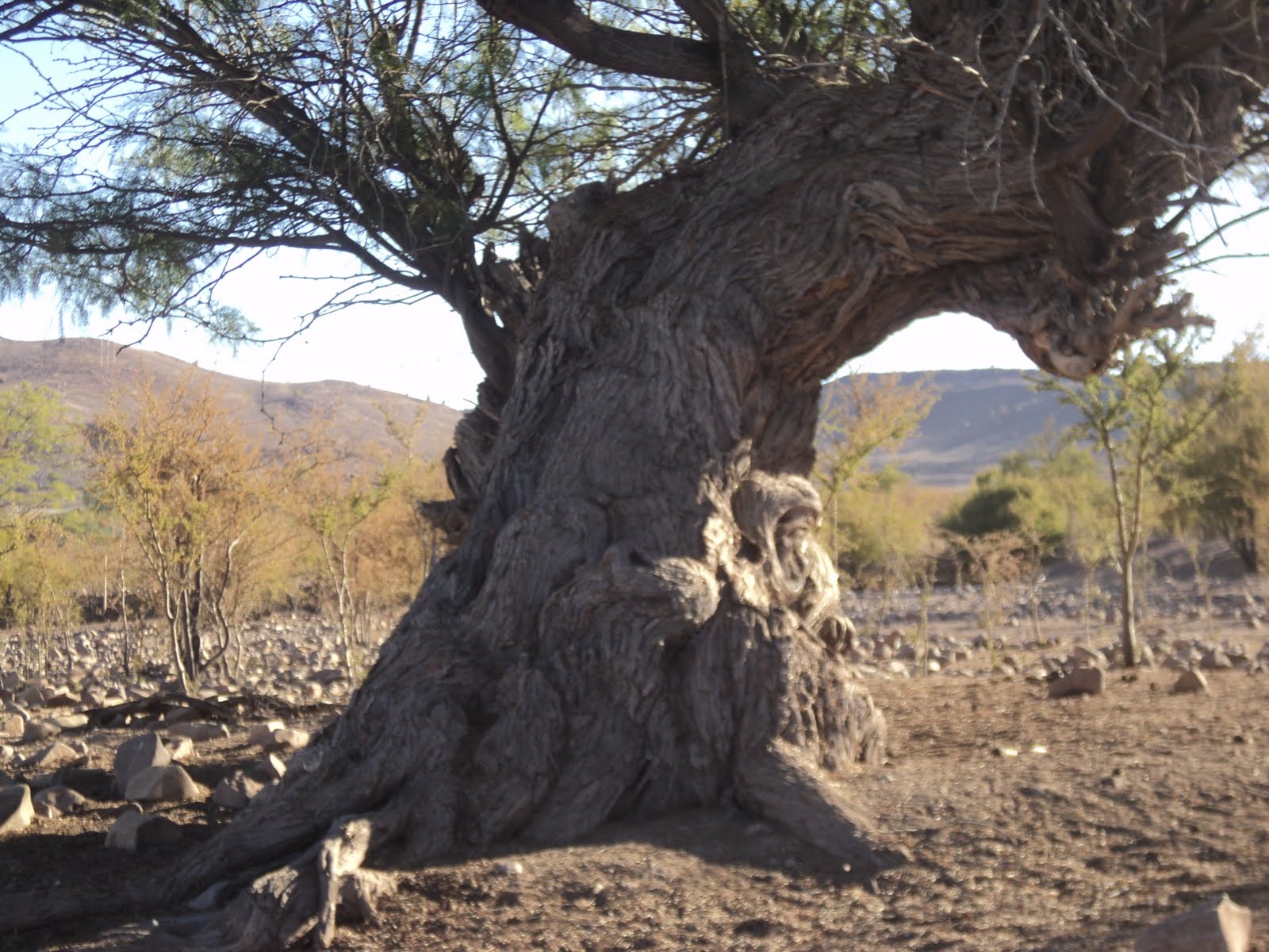 LEYENDAS DE COMBARBALÁ: NOCHE DE SAN JUAN