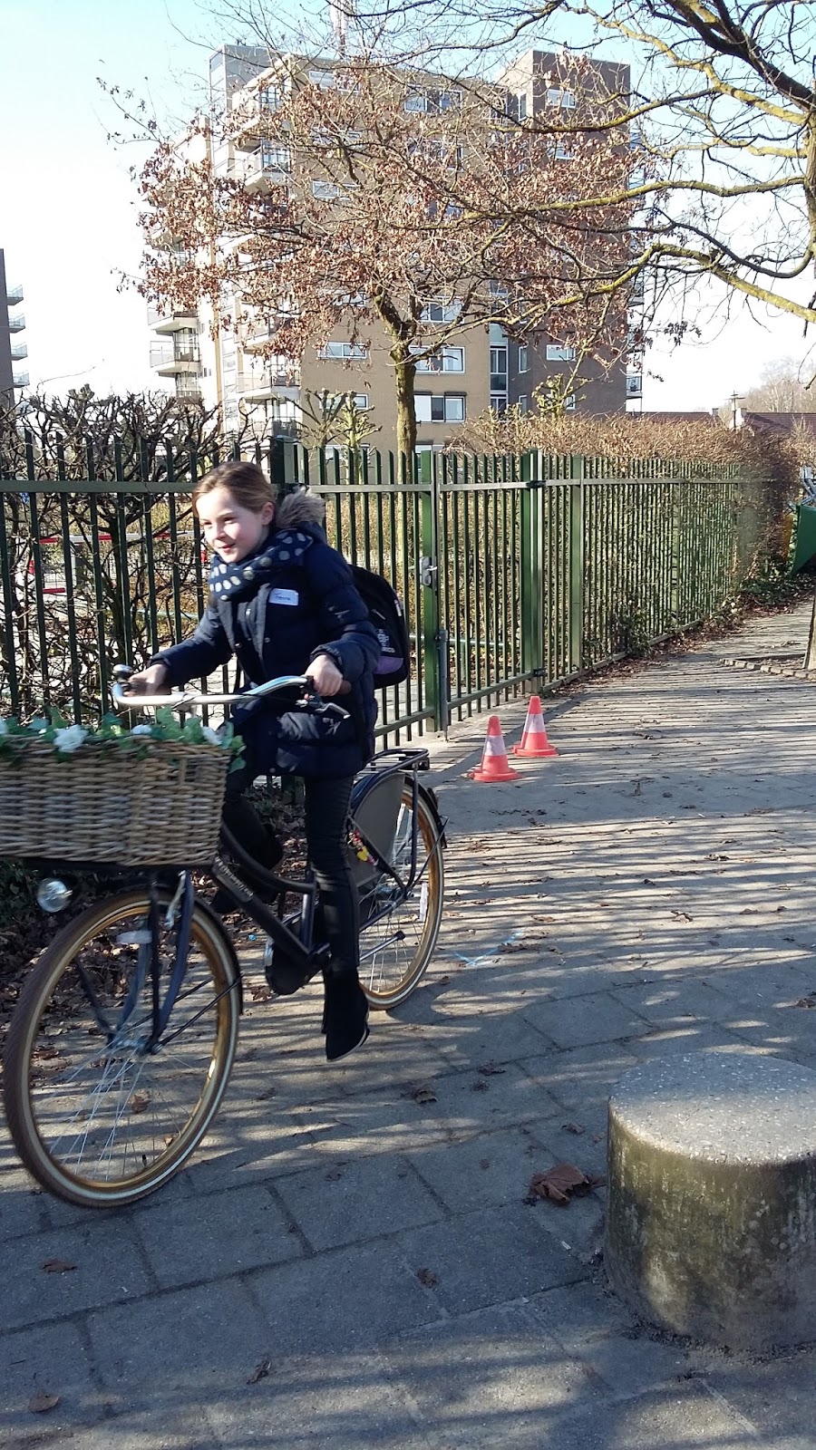 De groep van meneer Sander