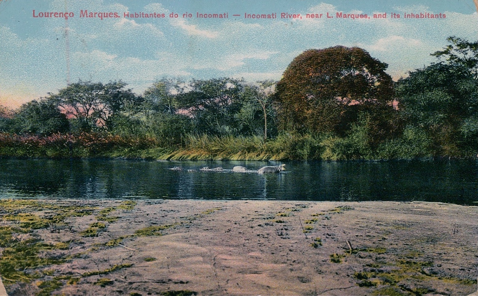 Fotos antigas do Rio Incomati em território moçambicano (1/2)