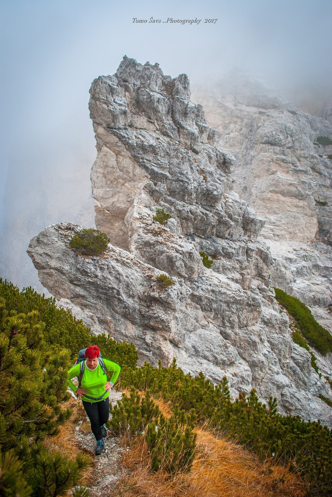 LEPA GLAVA--VETTA BELLA...