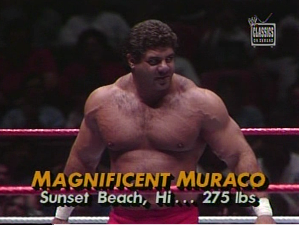 Steve's Graps: WWF Primetime 2-1-1988