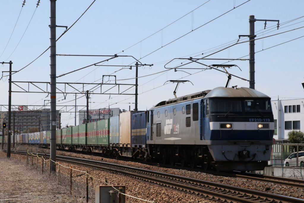 線路際の小さな幸せ: 1050レ EF210-119 いつもの大型コンテナ群。 ネコロジー×2