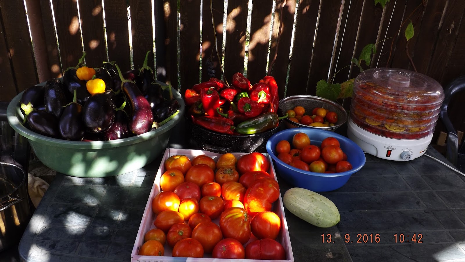 Gradinarit anotimp cu anotimp: De Septembrie