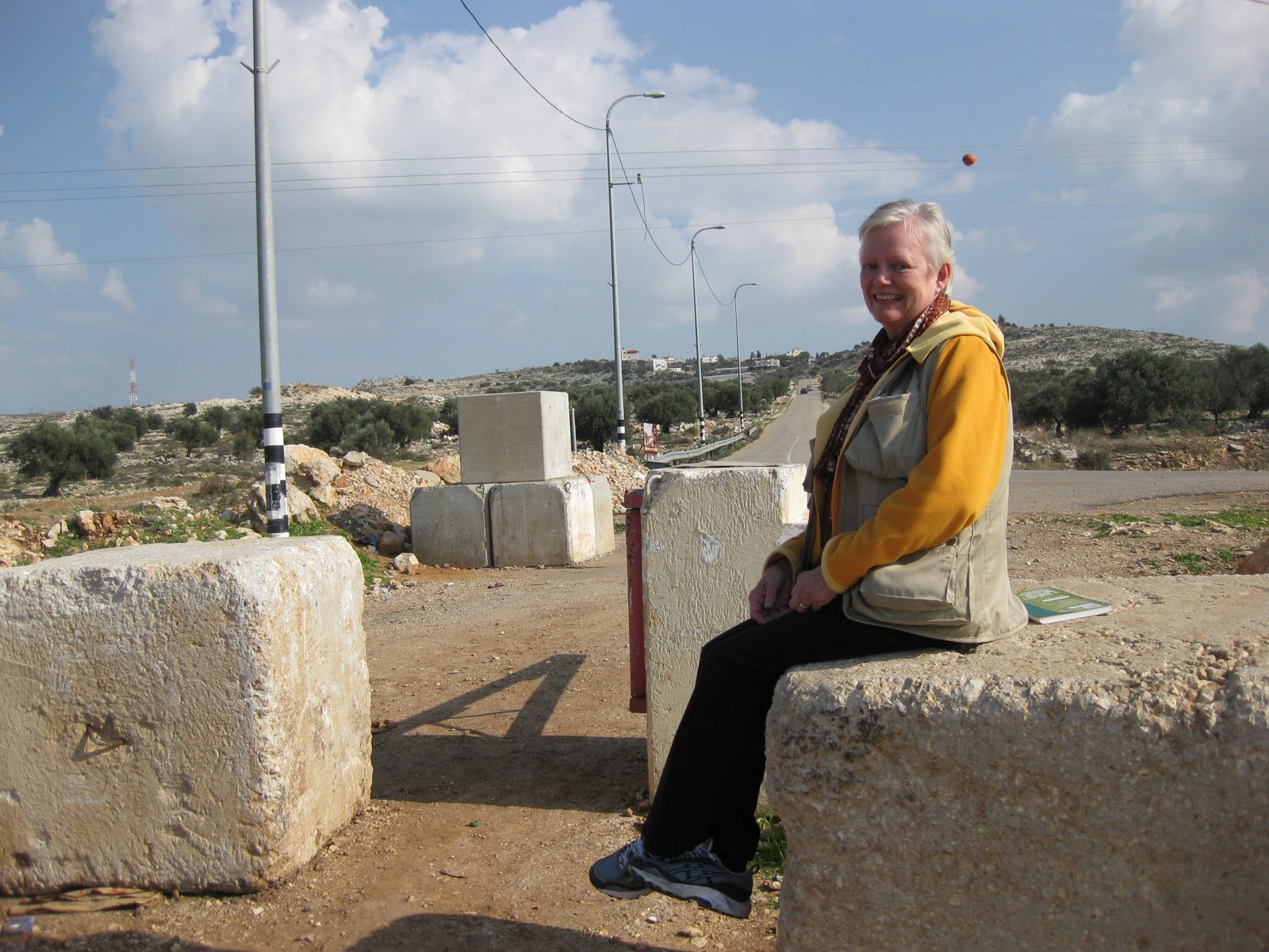 a prairie voice: November 2011